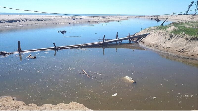 5 effective methods of shrimp farming wastewater treatment