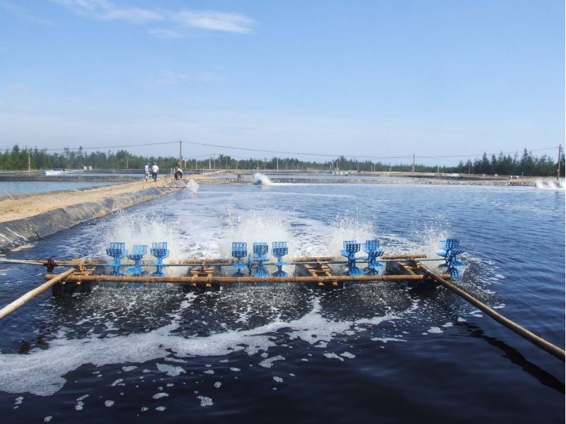 What is CBIB Certification and Why Does it Matter?