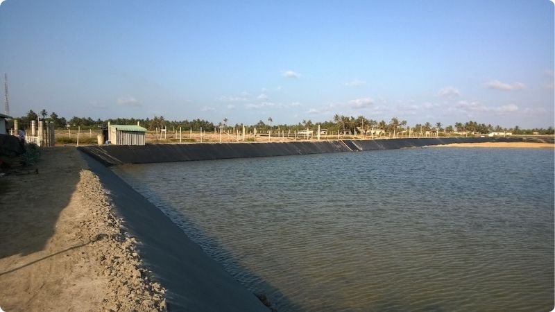 Floods in Shrimp Ponds: Mitigating Risks and Ensuring Resiliency