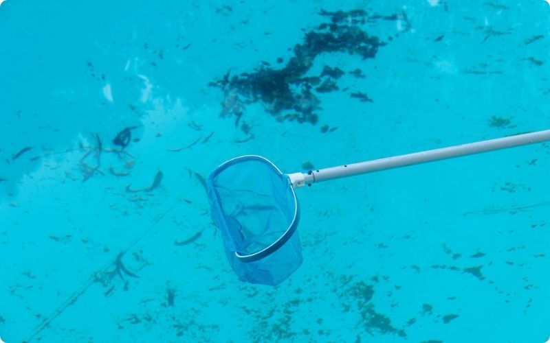 The Natural Way to Clean Pool Without Chemicals