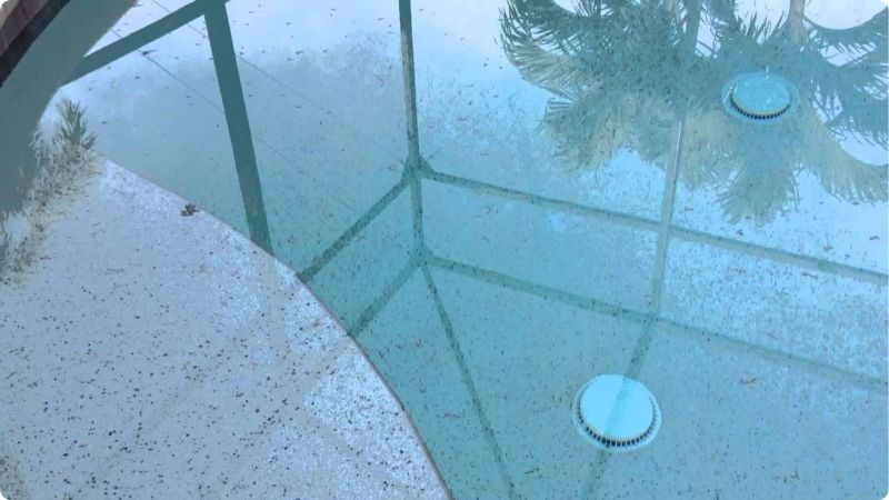 Weathering the Storm: Protecting Your Pool After Rain