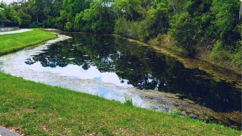 Retention Pond vs Detention Pond: Key Differences and Applications