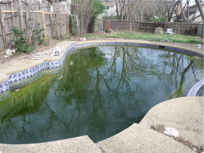 Beyond the Surface: Understanding and Preventing Pool Contamination