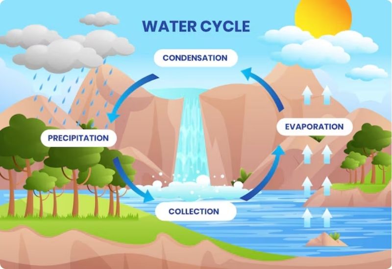 The Importance of Water Circulation: Why It Matters and How to Optimize It